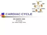 PPT - CARDIAC CYCLE PowerPoint Presentation, free download - ID:5014477