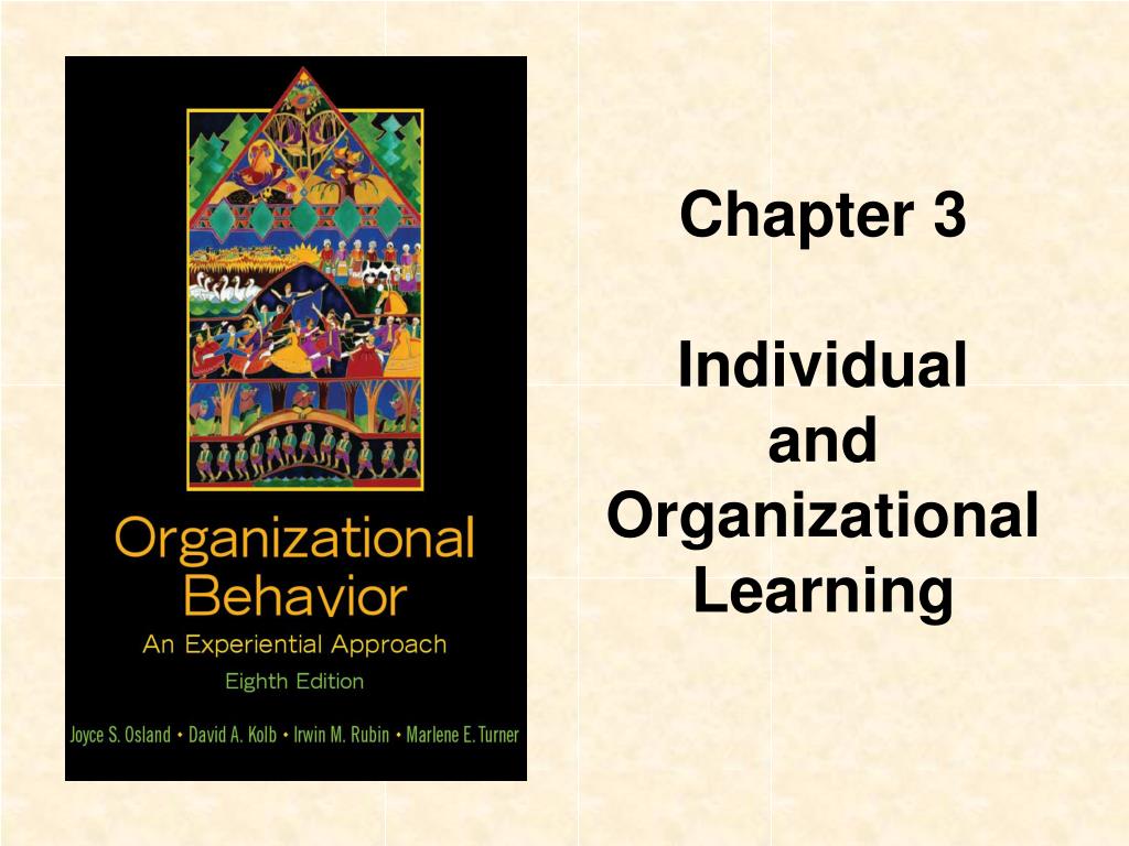 PPT - Chapter 3 Individual and Organizational Learning PowerPoint ...