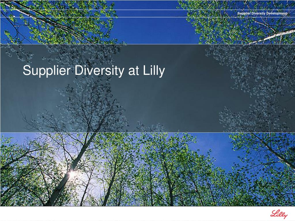 PPT - Supplier Diversity at Lilly PowerPoint Presentation, free ...
