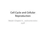 PPT - Cell Reproduction PowerPoint Presentation, free download - ID:853379