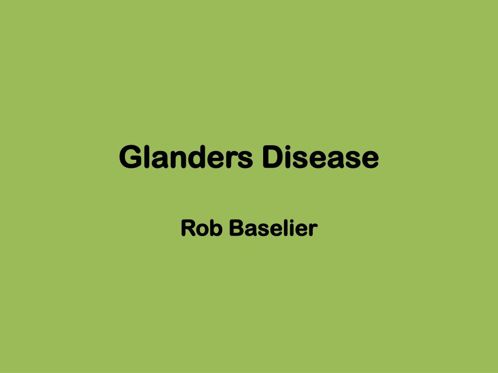 PPT - Glanders Disease PowerPoint Presentation, free download - ID:5644016