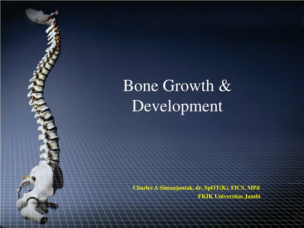 PPT - Bone Growth & Development PowerPoint Presentation, free download ...