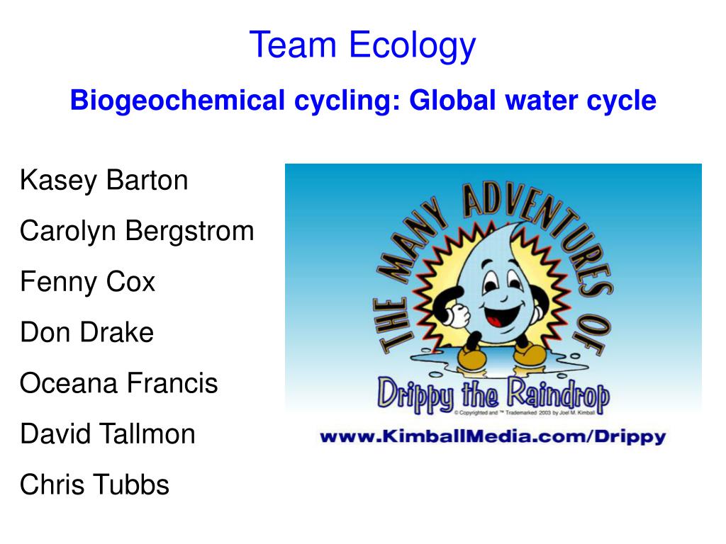 PPT - Team Ecology Biogeochemical cycling: Global water cycle Kasey ...