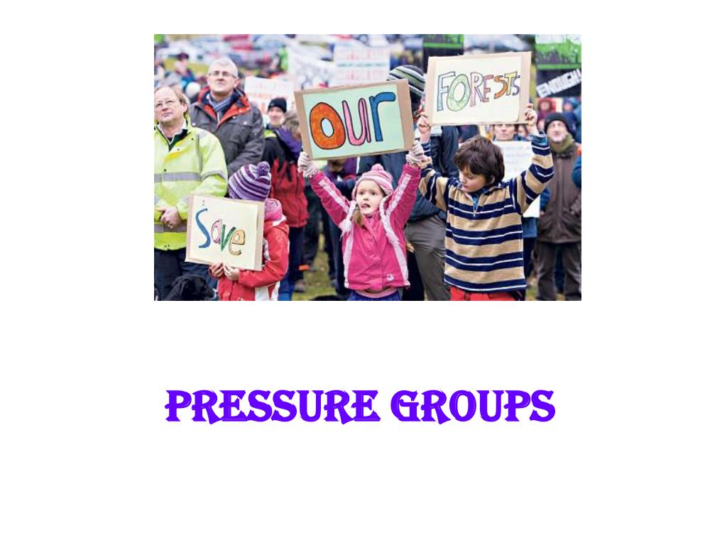PPT - PRESSURE GROUPS PowerPoint Presentation, free download - ID:5649151
