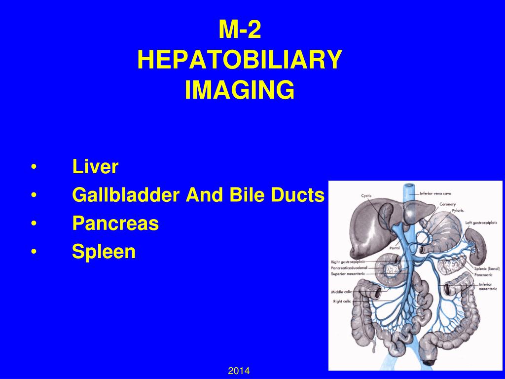 PPT - M-2 HEPATOBILIARY IMAGING PowerPoint Presentation, free download ...