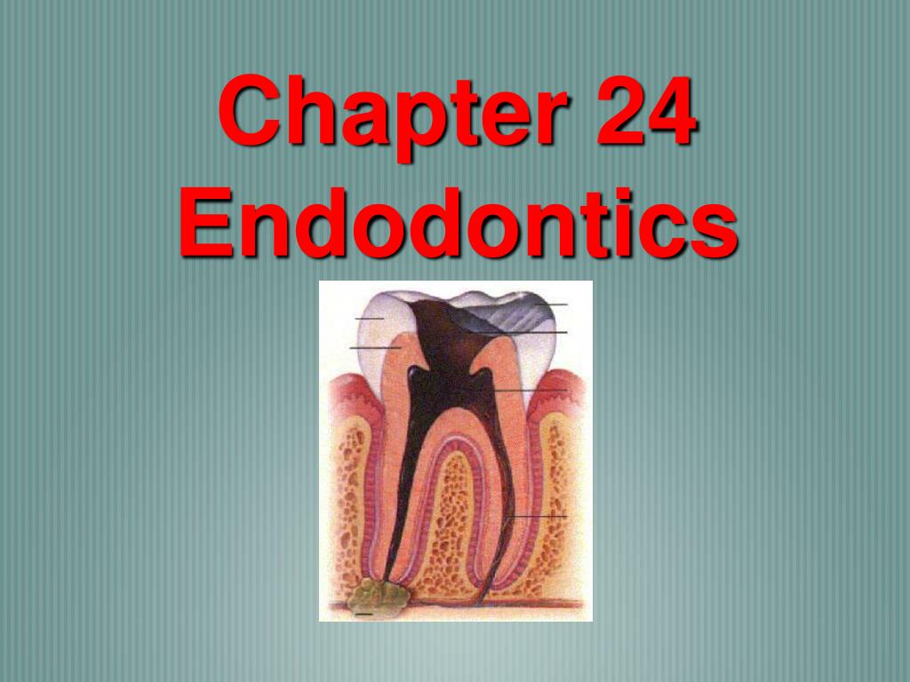 PPT - Chapter 24 Endodontics PowerPoint Presentation, free download ...