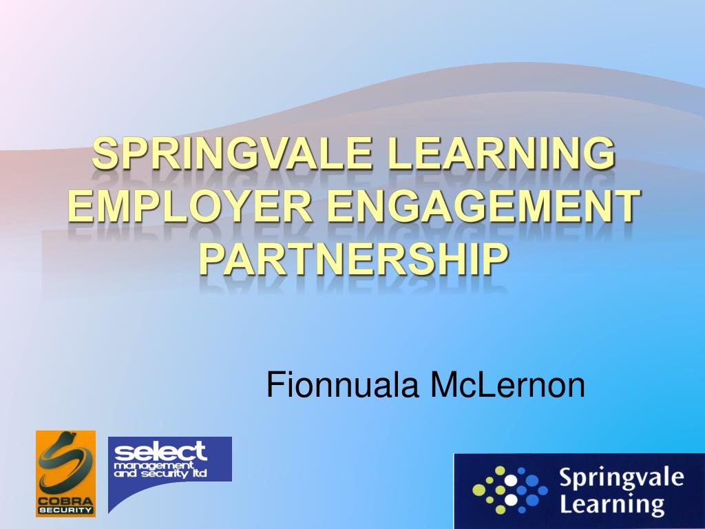 PPT - Springvale learning Employer engagement Partnership PowerPoint ...