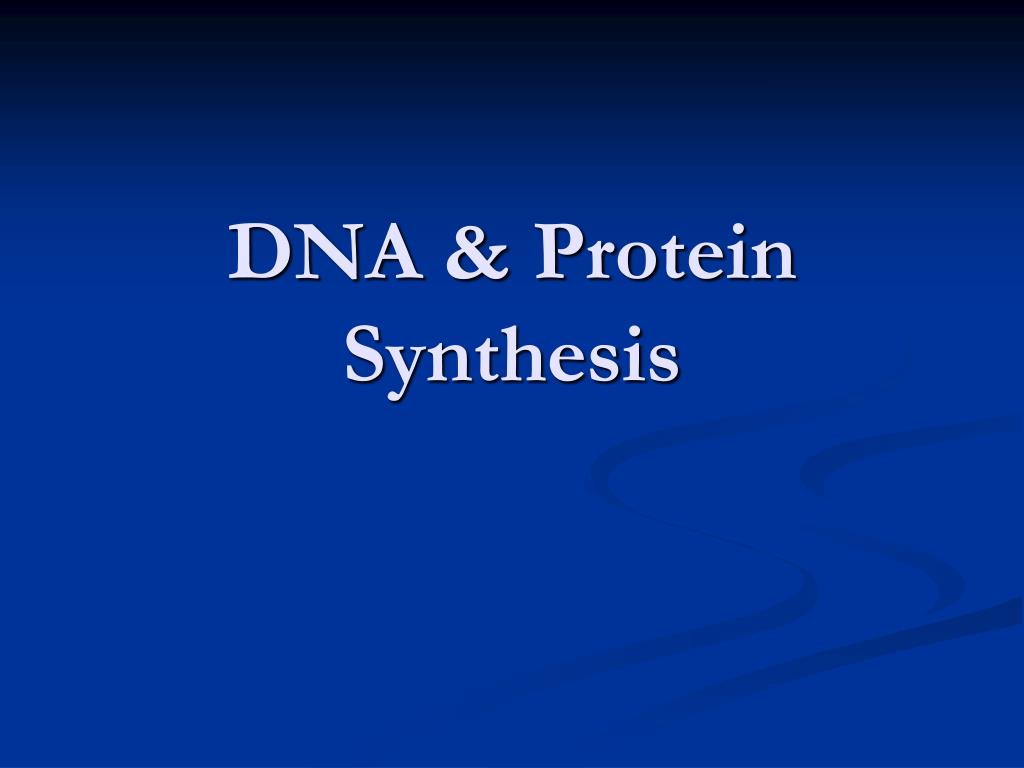 PPT - DNA & Protein Synthesis PowerPoint Presentation, free download ...