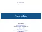 PPT - Transcriptome analysis PowerPoint Presentation, free download ...