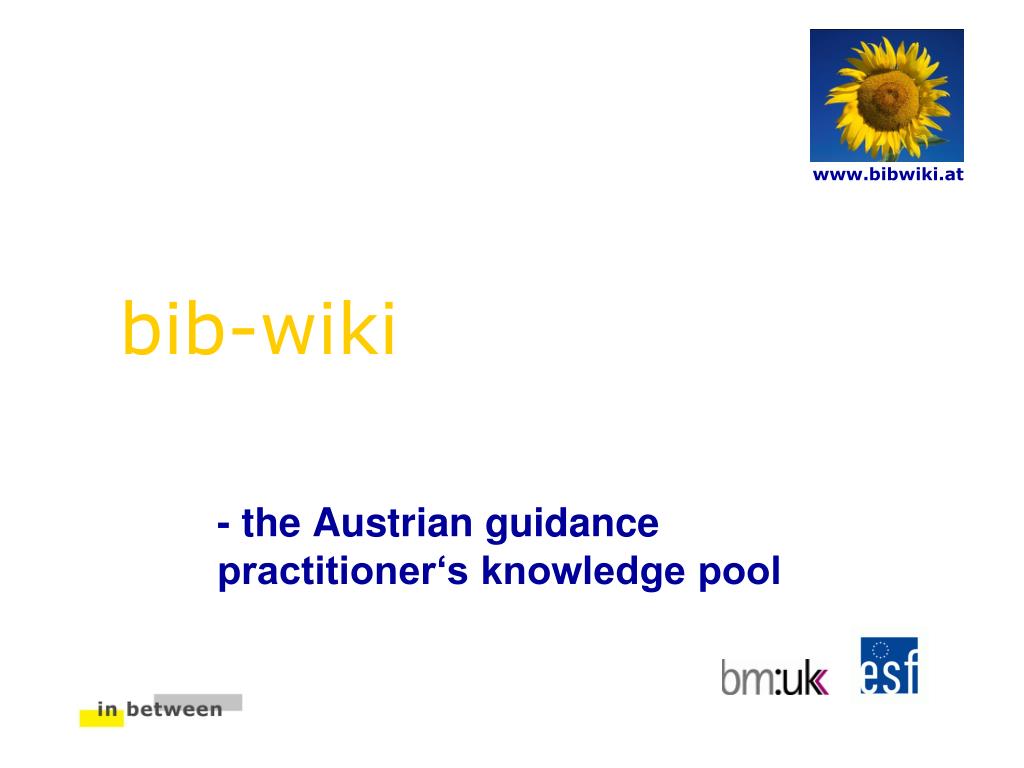 PPT - bib-wiki PowerPoint Presentation, free download - ID:5664843