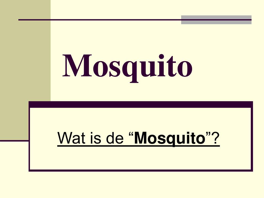 PPT - Mosquito PowerPoint Presentation, free download - ID:5666351