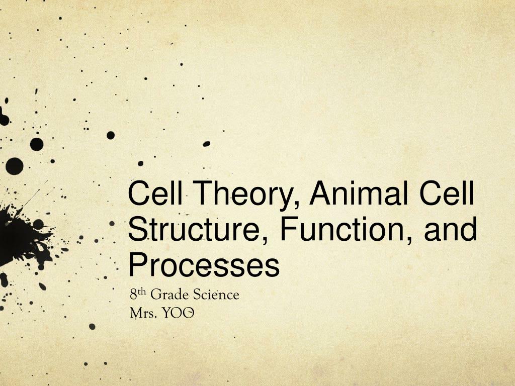 PPT - Cell Theory, Animal Cell Structure, Function, and Processes ...