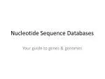 PPT - Protein Sequence Databases PowerPoint Presentation, free download - ID:4369272