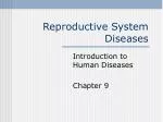 PPT - Reproductive System Diseases and Disorders PowerPoint ...