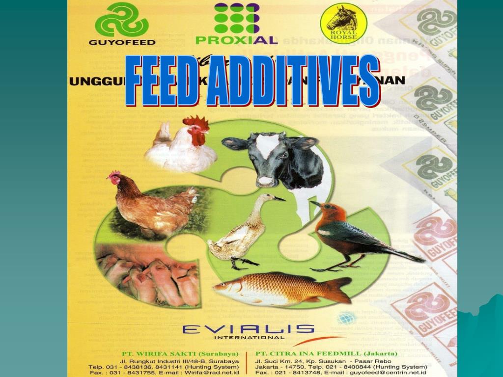 PPT - FEED ADDITIVES PowerPoint Presentation, free download - ID:5674800