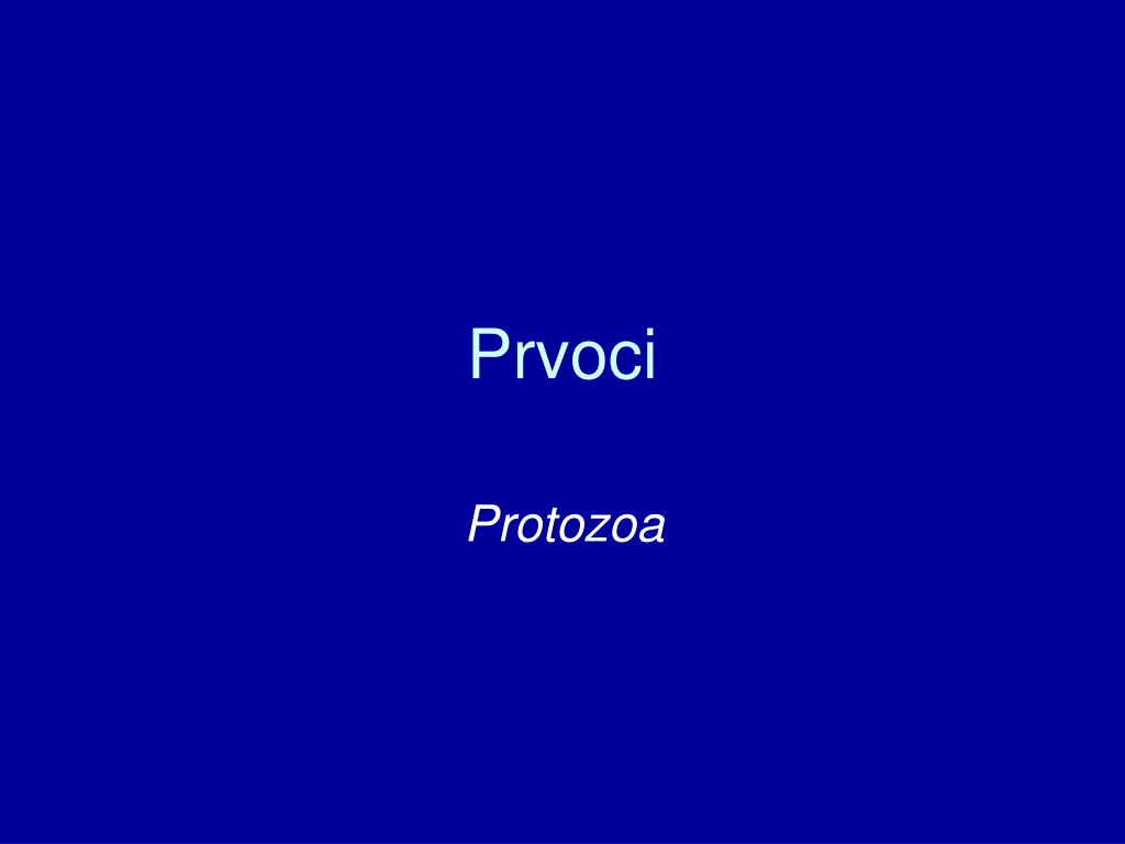 PPT - Prvoci PowerPoint Presentation, free download - ID:5675370