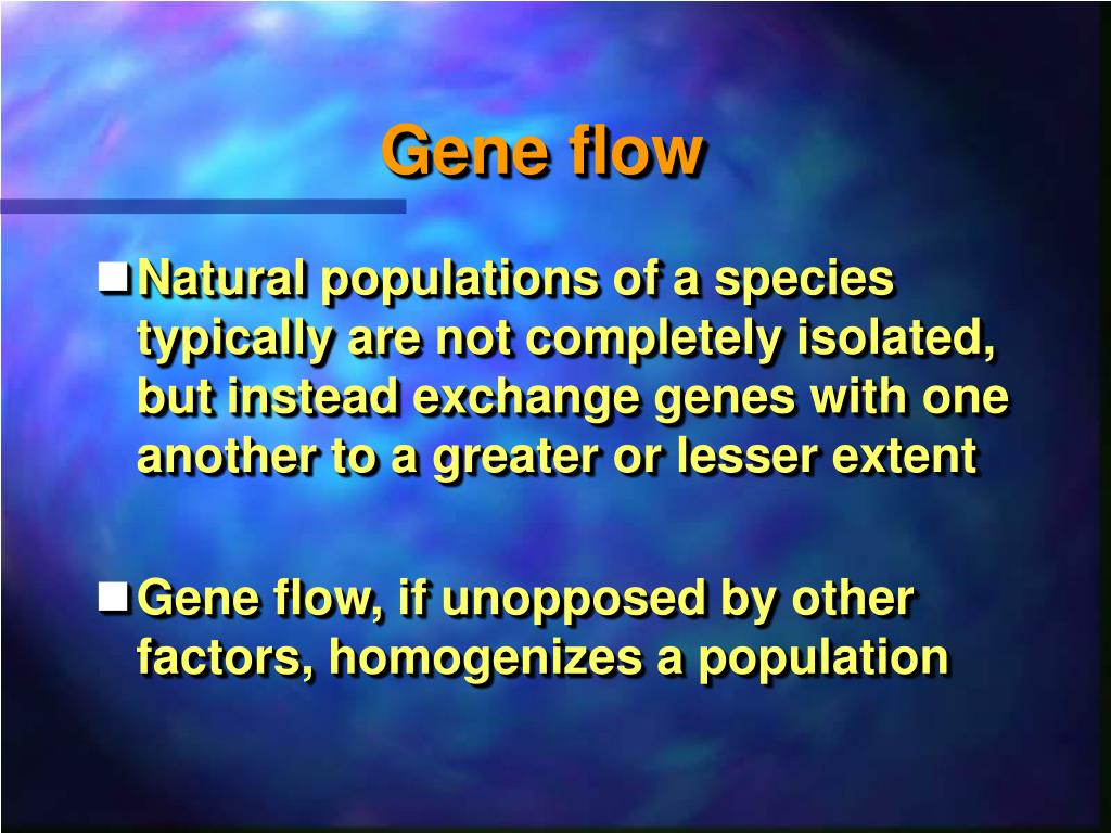 PPT - Gene flow PowerPoint Presentation, free download - ID:5686291