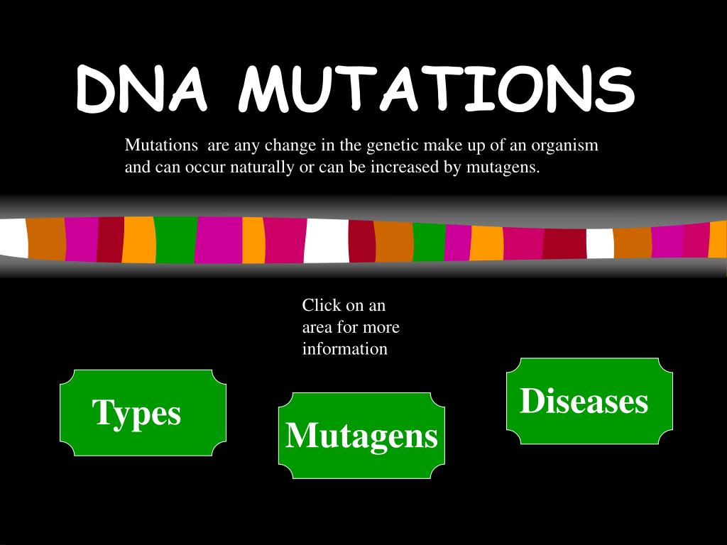 PPT - DNA MUTATIONS PowerPoint Presentation, free download - ID:5687052