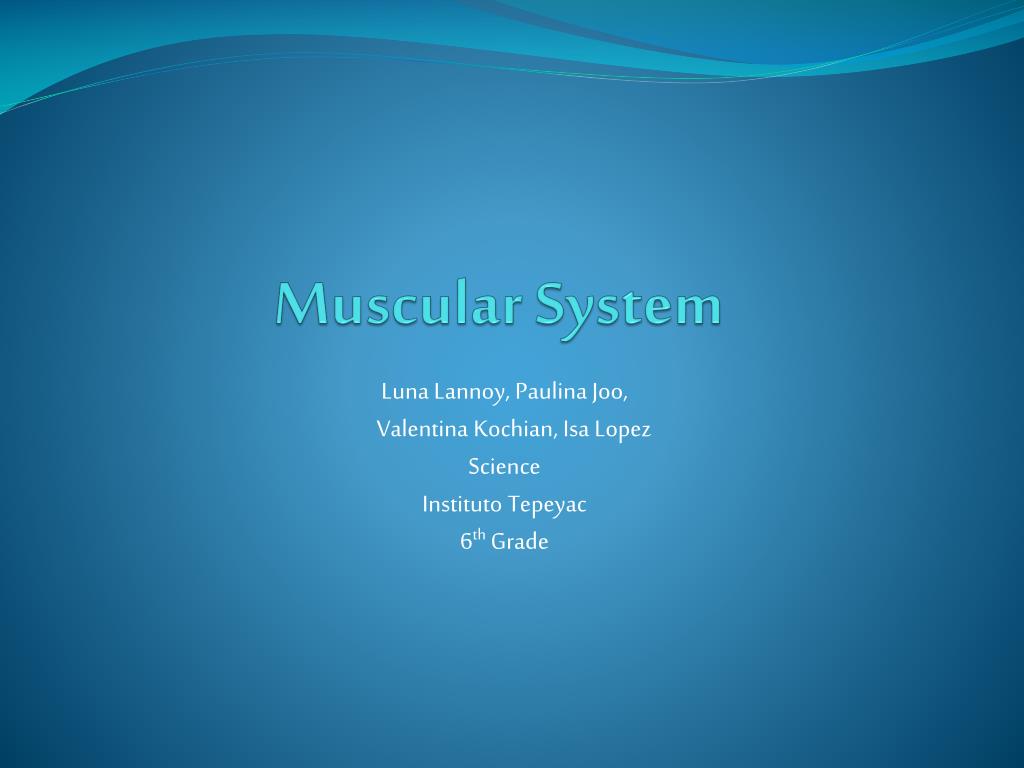 PPT - Muscular System PowerPoint Presentation, free download - ID:5691249