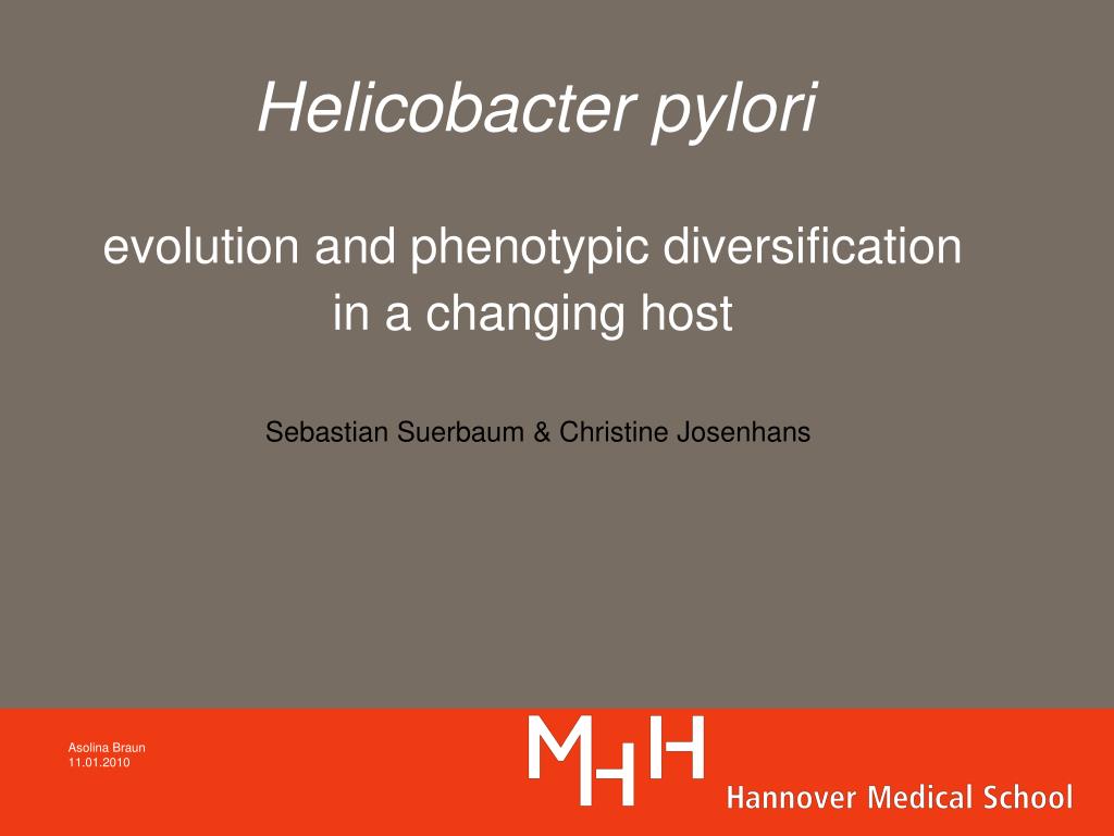 PPT - Helicobacter pylori evolution and phenotypic diversification in a ...
