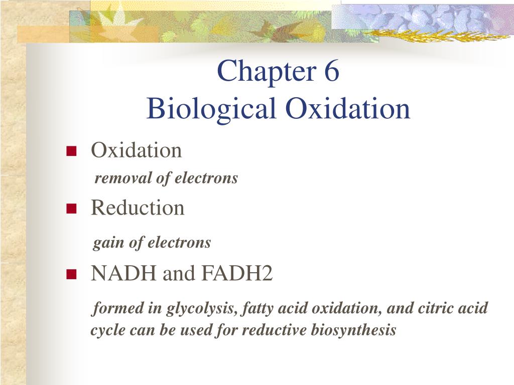 PPT - Chapter 6 Biological Oxidation PowerPoint Presentation, free ...