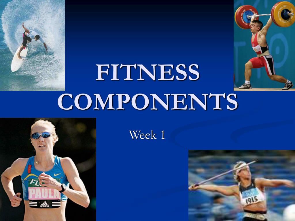 PPT - FITNESS COMPONENTS PowerPoint Presentation, free download - ID ...