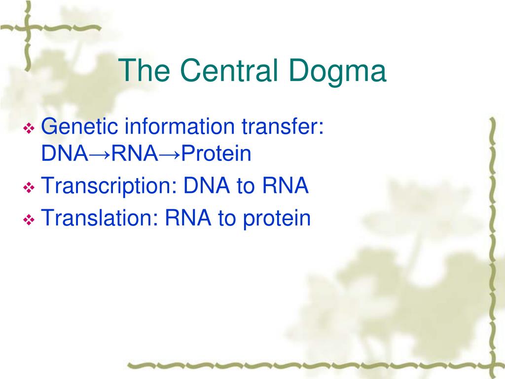 PPT - The Central Dogma PowerPoint Presentation, free download - ID:5699740
