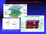 PPT - Antibacterial Soap: Combat 10 Skin Problems PowerPoint ...
