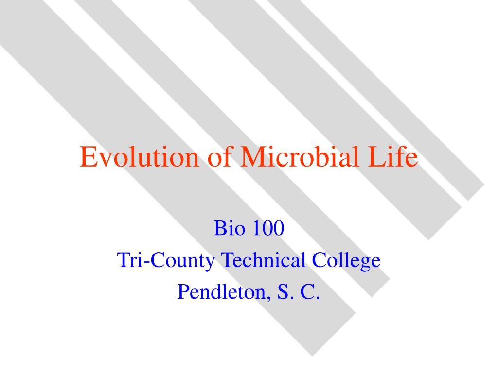 PPT - Evolution of Microbial Life PowerPoint Presentation, free ...
