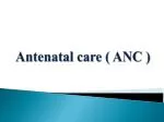 PPT - Antenatal Care PowerPoint Presentation, free download - ID:1704436