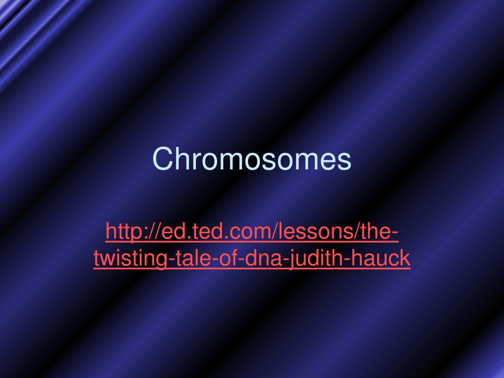 PPT - Chromosomes PowerPoint Presentation, free download - ID:5705920