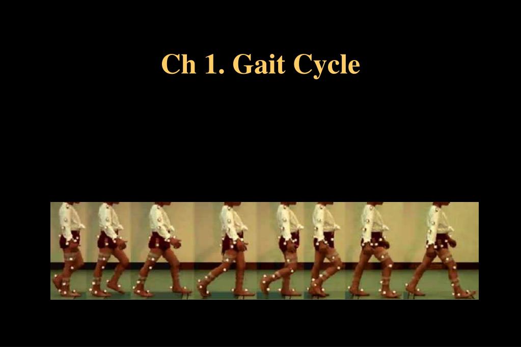 PPT - Ch 1. Gait Cycle PowerPoint Presentation, free download - ID:5708861