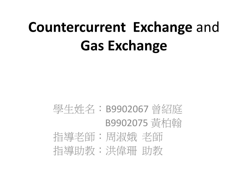 PPT - Countercurrent Exchange and Gas Exchange PowerPoint Presentation ...