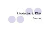 PPT - DNA Introduction PowerPoint Presentation, free download - ID:466592