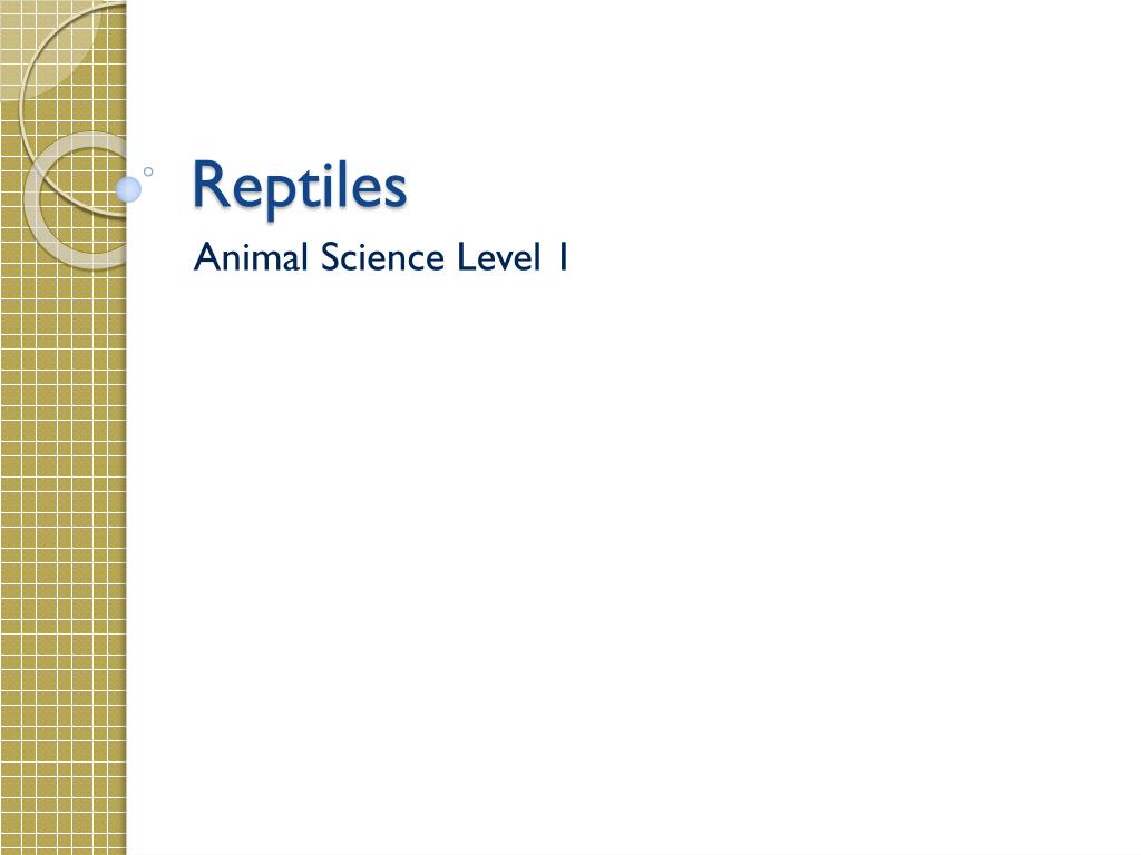 PPT - Reptiles PowerPoint Presentation, free download - ID:5710785