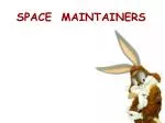 PPT - Basic Space Maintainers Teaching Module and Competency PowerPoint ...