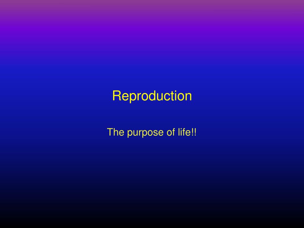 PPT - Reproduction PowerPoint Presentation, free download - ID:5715704