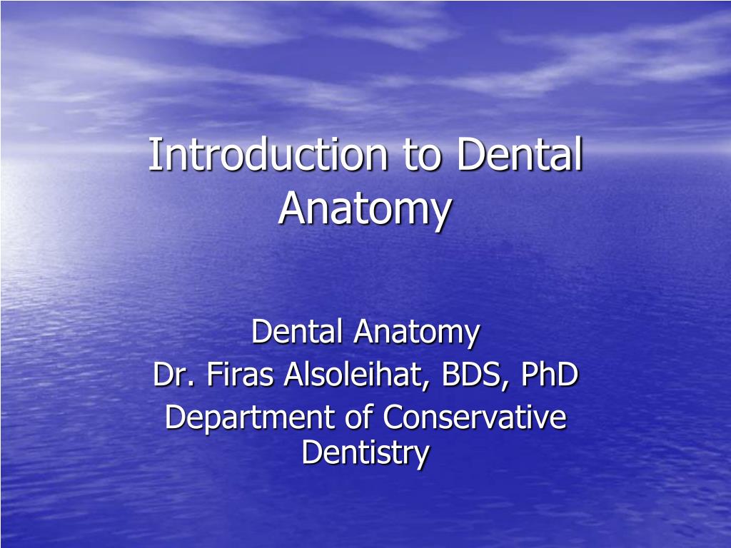 PPT - Introduction to Dental Anatomy PowerPoint Presentation, free ...