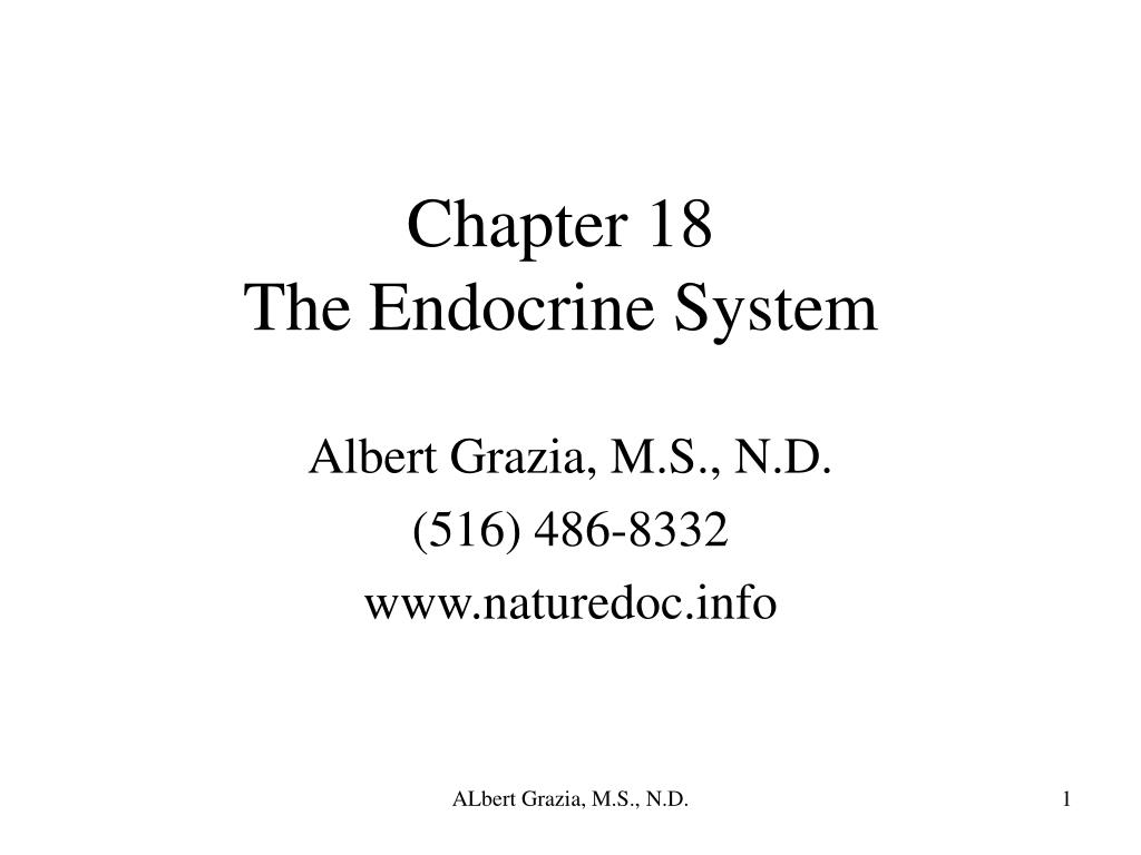 PPT - Chapter 18 The Endocrine System PowerPoint Presentation, free ...