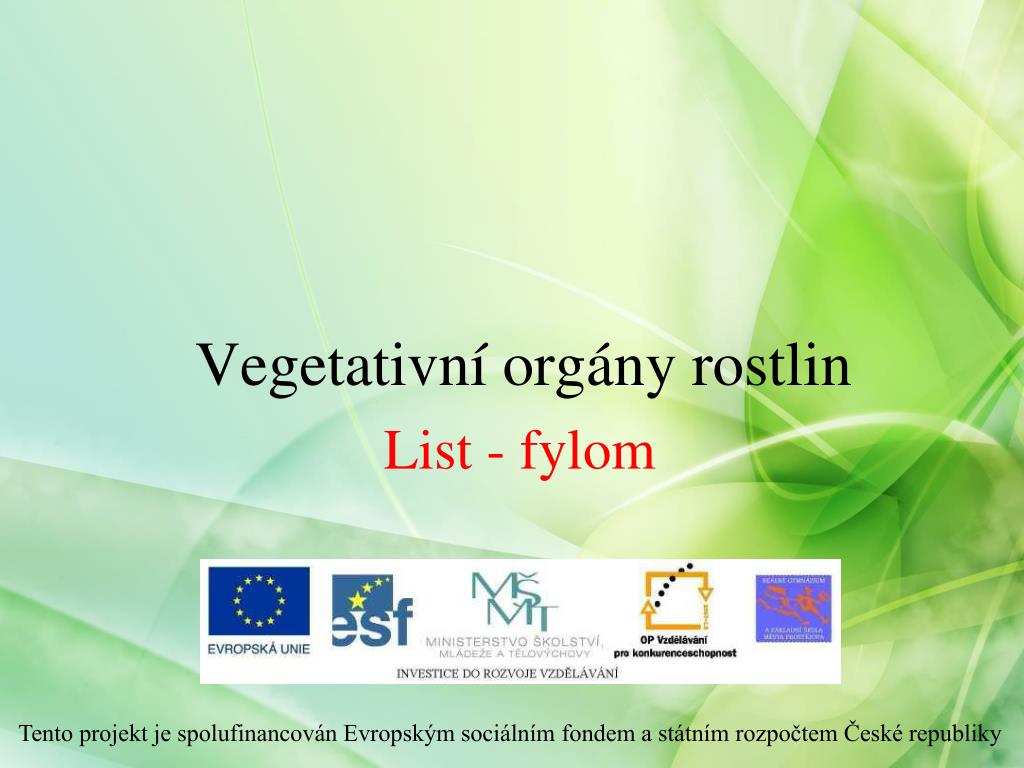 PPT - List - fylom PowerPoint Presentation, free download - ID:5727685