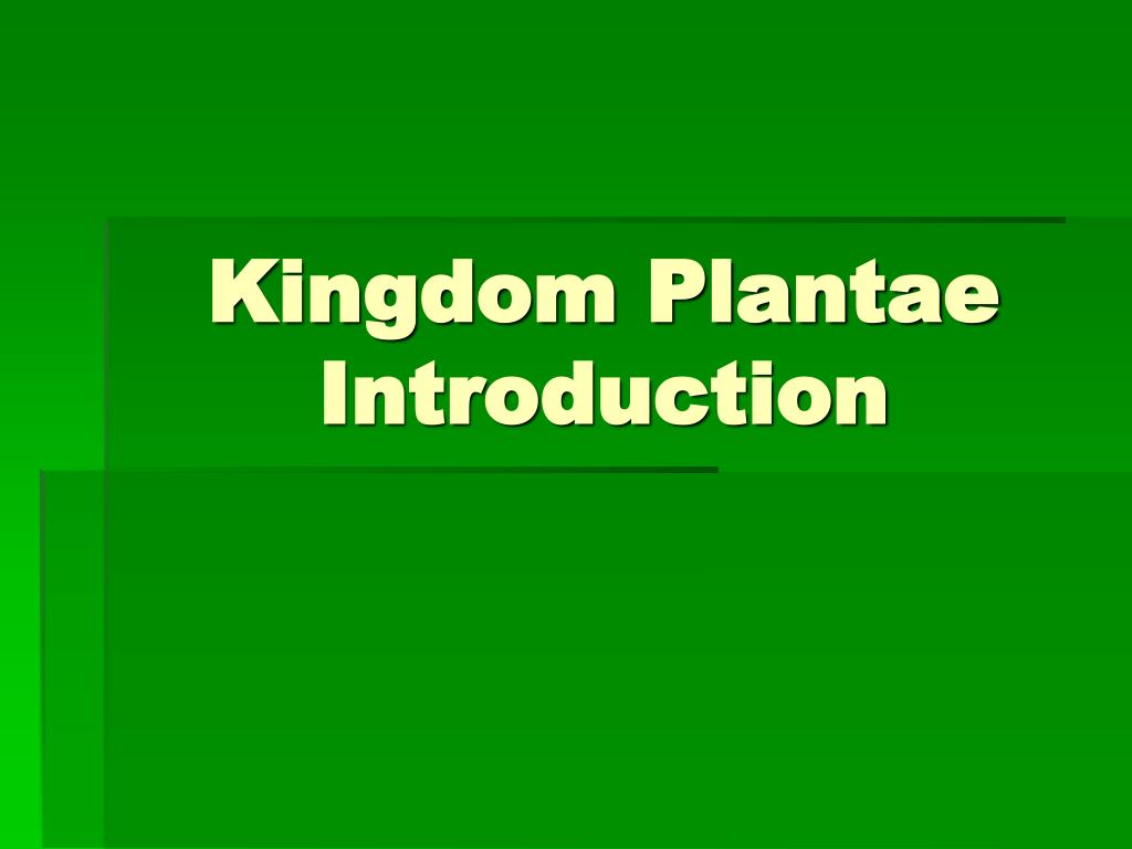 PPT - Kingdom Plantae Introduction PowerPoint Presentation, free ...