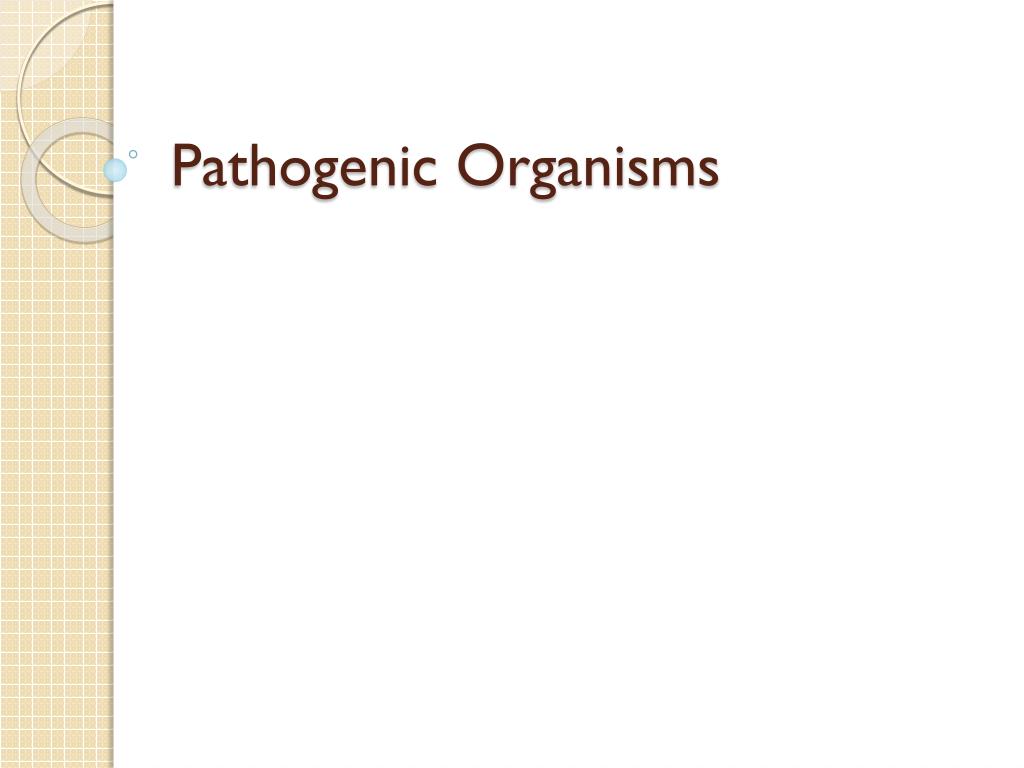 PPT - Pathogenic Organisms PowerPoint Presentation, free download - ID ...