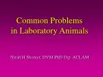 PPT - Common Laboratory animals-Experimental Pharmacology PowerPoint ...