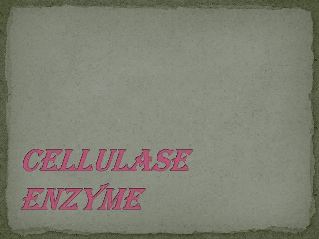 PPT - Cellulase enzyme PowerPoint Presentation, free download - ID:5735640