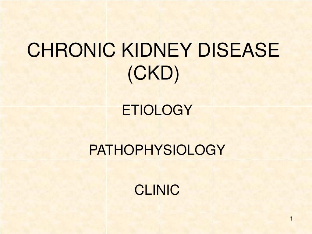 PPT - CHRONIC KIDNEY DISEASE (CKD) PowerPoint Presentation, free ...