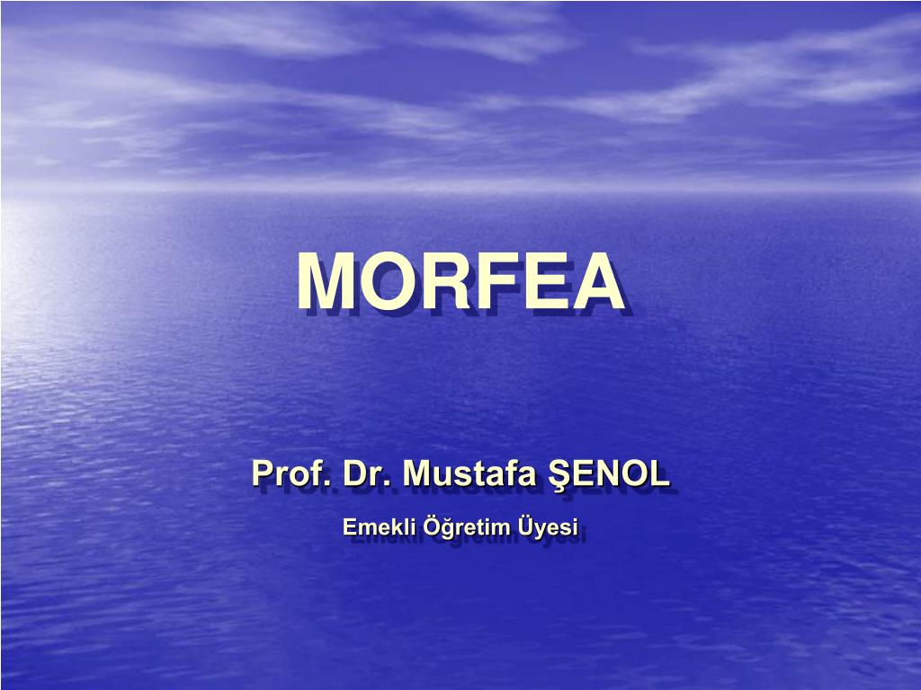 PPT - MORFEA PowerPoint Presentation, free download - ID:5740583