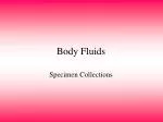 PPT - Body Fluids PowerPoint Presentation, free download - ID:2949985