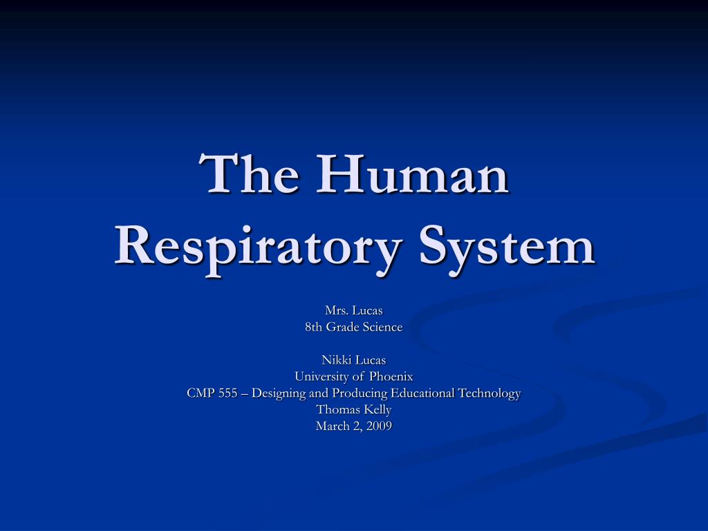 PPT - The Human Respiratory System PowerPoint Presentation, free ...