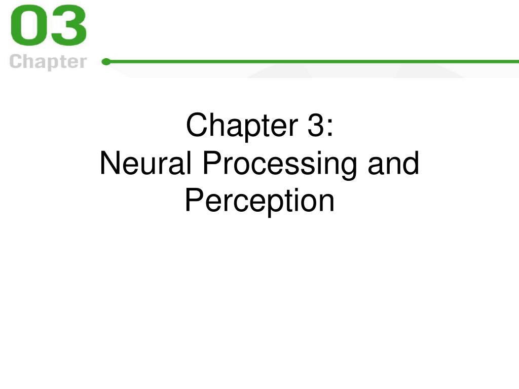 PPT - Chapter 3: Neural Processing and Perception PowerPoint Presentation - ID:5744992