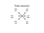 PPT - The Yoke of Christ PowerPoint Presentation, free download - ID ...